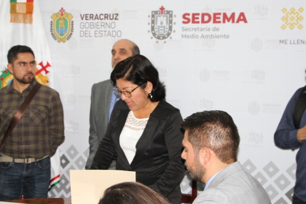 Secretaría de Medio Ambiente de Veracruz iniciará operativos en centros de verificación ...