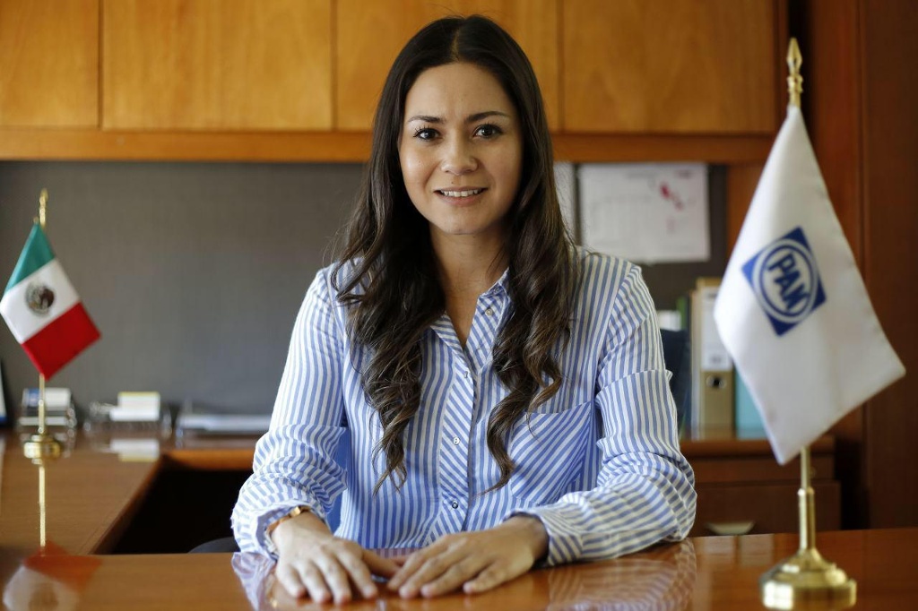 Adriana Aguilar Ramírez, presidenta interina del PAN en Veracruz ...