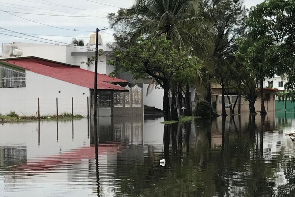 Vecinos Del Floresta En Veracruz Prevén Severas Inundaciones Si